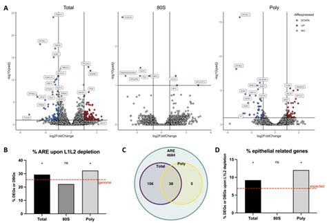 Frac Seq Reveals That ZFP36L1 2 Exert Sub Cellular Dependent Effects A