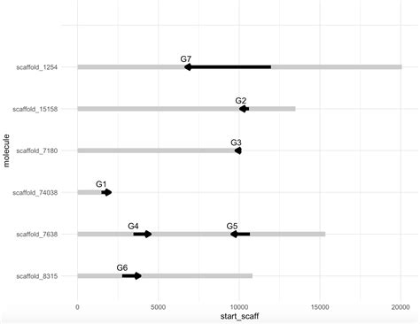 R Set Factor Level In Ggplot2 Stack Overflow