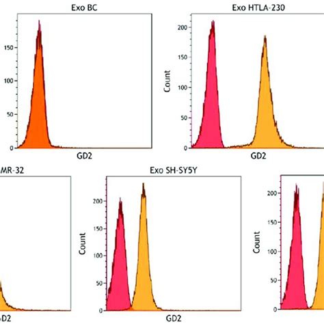 Flow Cytometry Detection Of Gd2 Molecule On Exosomes Derived From Buffy Download Scientific