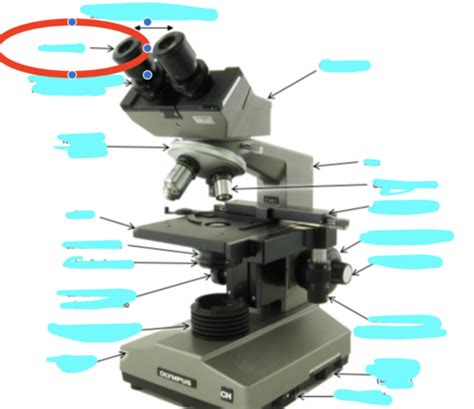 Micro Midterm Exam Flashcards Quizlet