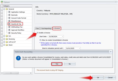 Accounting E Invoice The Checkbox For Submit E Invoice And Consolidated E Invoice