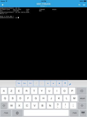 Best Terminal Like VNC And SSH Clients For Your IPhone Or IPad