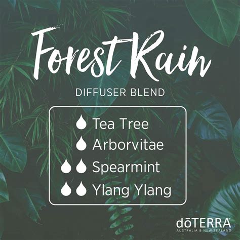 How To Use Nebulizing Diffusers With Essential Oils Artofit