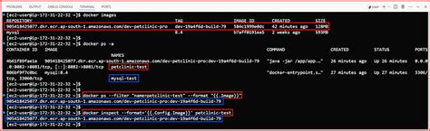 Optimizing Docker Image Size For Java Applications Multi Stage Builds