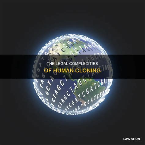 The Legal Complexities Of Human Cloning Lawshun
