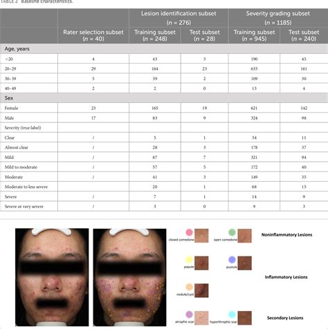 table 2 from development and validation of an artificial intelligence