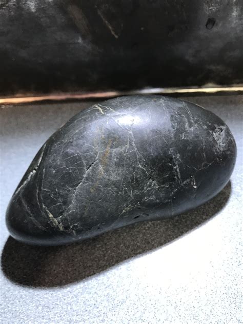 Need Help Identifying Fossil Id The Fossil Forum