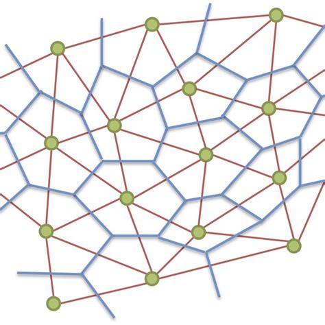 Scheme Of The 3 Dimensional Cell Simulation Space Filled By Voronoi