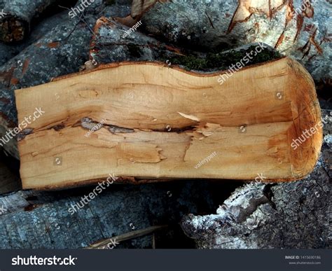Log Split Half Along Closeup Stock Photo Shutterstock