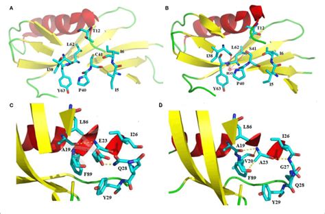 Structural Illustration Of The Relationship Between The Download Scientific Diagram