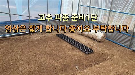 고추 파종 준비 1탄~ Youtube