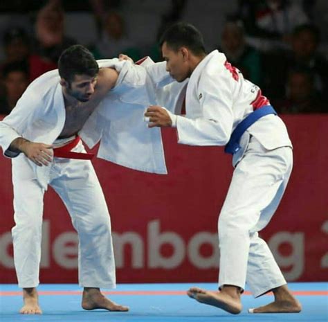 آکادمی جوجیتسو استان البرز