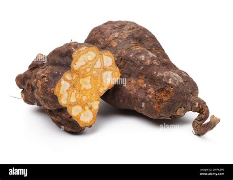 The Chinese Medicine Polygonum Multiflorum On White Background Stock