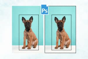 Ways To Invert Selection In Photoshop With And Without Shortcut TechCult