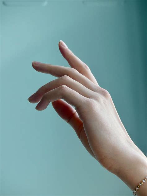 Hands Reference Hand Reference Hand Drawing Reference How To Draw Hands