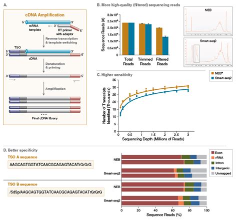 Template Switching Rt Enzyme Mix Neb