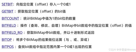 黑马点评 用户签到bitmap数据类型实现用户签到 Csdn博客
