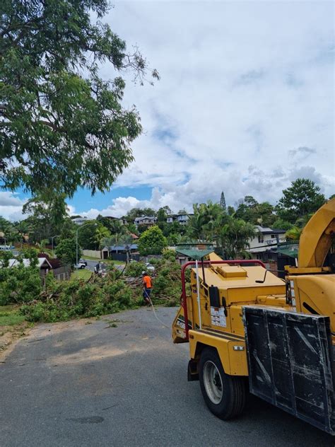 1 Tree Loppers Gold Coast Tree Lopping Services Gold Coast Tree Removal