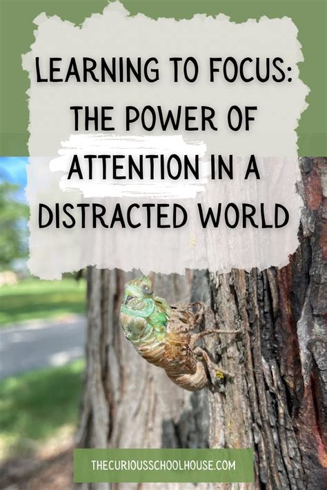 Learning To Focus The Power Of Attention In A Distracted World The