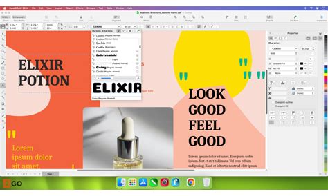 Coreldraw Graphics Suite 2024 Eenmalige Aanschaf