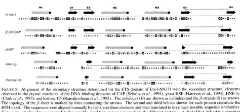Figure 5 From Secondary Structure Of The Ets Domain Places Murine Ets 1