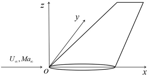 Euler Coordinates