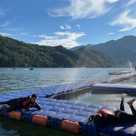 마 On Twitter 너무 귀여븐…뭉주니 이 바부 문짝고앵아 Yhycjuli9p Twitter