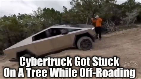 Cybertruck Stuck Again This Time On A Tree Youtube