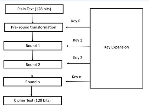 Structure Of Aes Algorithm Download Scientific Diagram