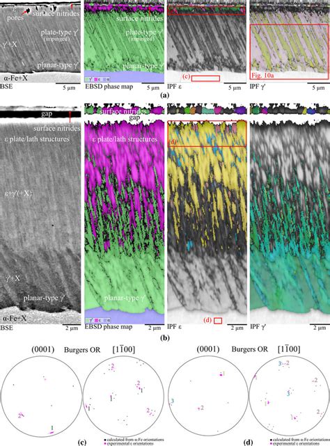 Bse Image And Corresponding Ebsd Phase Map E Ipf Map And C¢ Ipf Map
