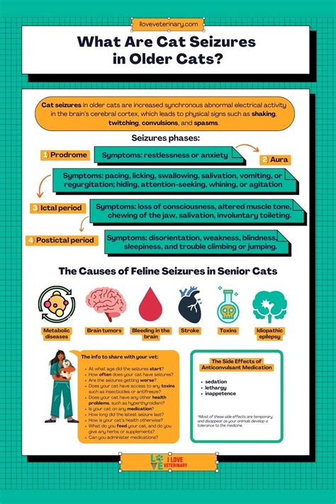 Cat Seizures In Older Cats Get Your Claws On The Latest Info Older