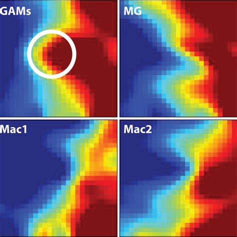 Graphical Representation Of Gene Expression Patterns In The Four Data Download Scientific