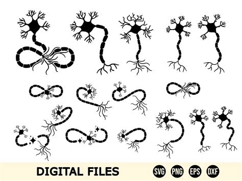 Neurons Svg Dopamine Svg Brain Clipart Neuro Nerves Biology Svg