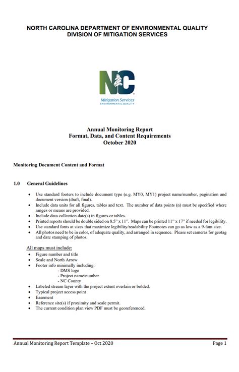 Annual Periodic Monitoring Report Template → Free Report Examples