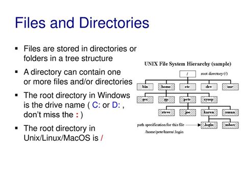 COMP Streams And File I O Ppt Download