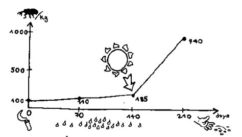 Weevil Population Growth In 1kg Wheat Samples Download Scientific