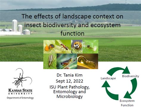 The Effects Of Landscape Context On Insect Biodiversity And Ecosystem Function Plant Pathology