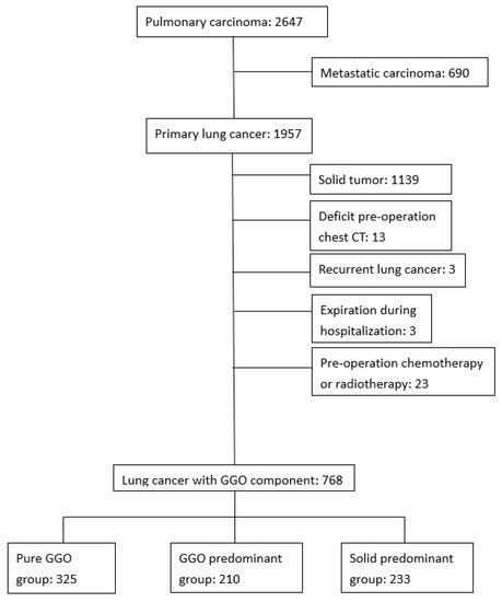 Lymphadenectomy Is Unnecessary For Pure Ground Glass Opacity Pulmonary Nodules
