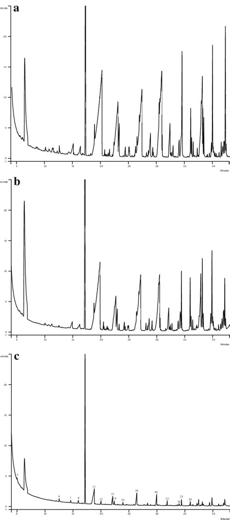 Representative Flame Ionization Detection Chromatograms For Antarctic Download Scientific