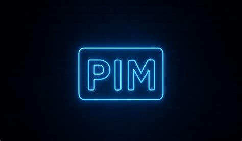 Implementation Of A Pim System And Its Benefits Why Ecommerce Companies Need Pim