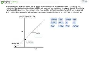 Solved The Lineweaverburk Plot Shown Below Which Plots