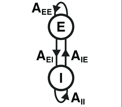 excitatory inhibitory coupling an excitatory e and inhibitory i