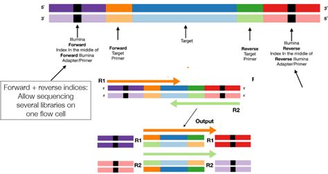 Bs4017 High Throughput Bioinformatics 2 Genomic Sequencing And Databases