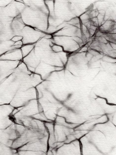 Premium Vector A Black And White Photo Of A Tree Branch