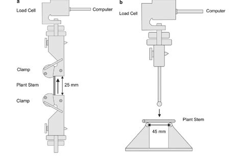 schematic drawing of the experimental setup for the tension and cyclic