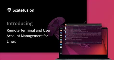 Introducing Remote Terminal And User Account Management For Linux