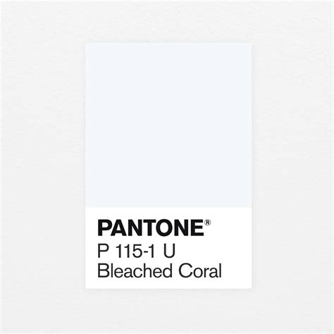 Jack And Huei Suggests Bleached Coral As Next Pantone Colour Of The Year