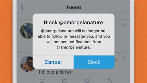 How To See NSFW Content On Twitter Zeru