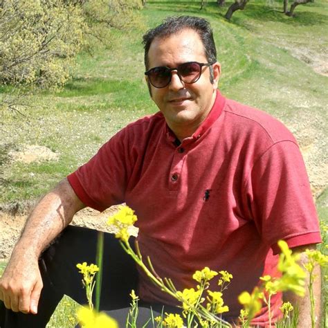 تیوال محمدرضا ایمانیان