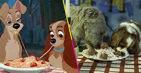 Disney Revela Primeras Im Genes Del Live Action La Dama Y El Vagabundo The Couch